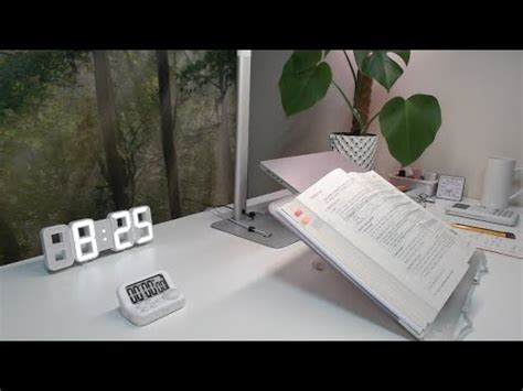 24 07 10 수 Study with me LIVEㅣ8시간 같이 공부해요ㅣ집공ㅣ장작 asmr YouTube