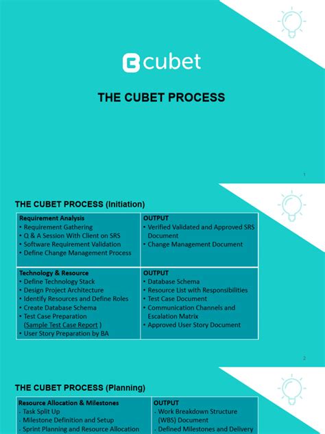 The Cubet Process Pdf Software Testing Scrum Software Development
