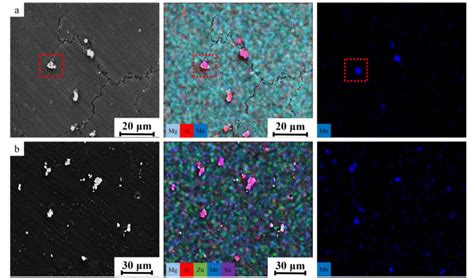 The Sem Micrographs With Related Elemental Mapping Eds For The