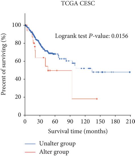 Cyclin Dependent Kinase 12 Cdk12 Overexpression And Its Correlation Download Scientific