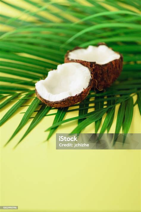 노란색 바탕에 녹색 열 대 야자수에 코코넛 나뭇잎 공간에 복사 합니다 팝 아트 디자인 크리에이 티브 여름 개념입니다 원시 채식주의 음식 0명에 대한 스톡 사진 및 기타