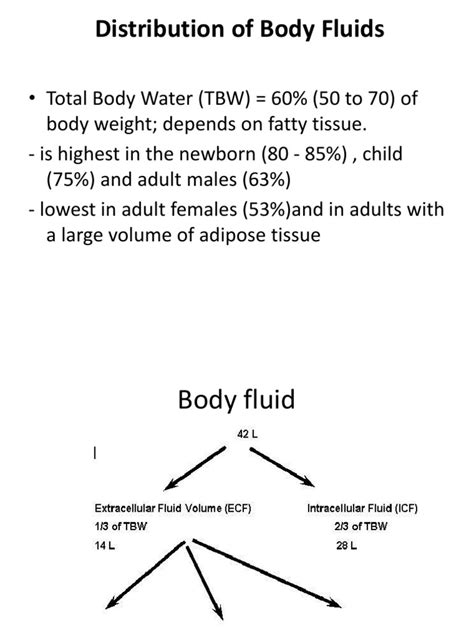 Distribution Of Body Fluids Pdf