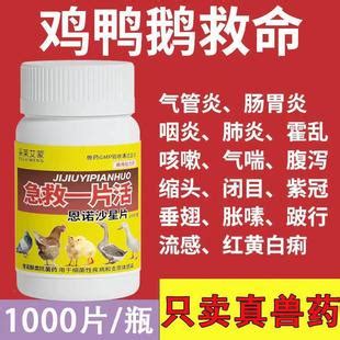 1000片瓶鸡鸭药兽药恩诺沙星片急救一片活拉稀呼吸道猫狗鸽跨境专 阿里巴巴