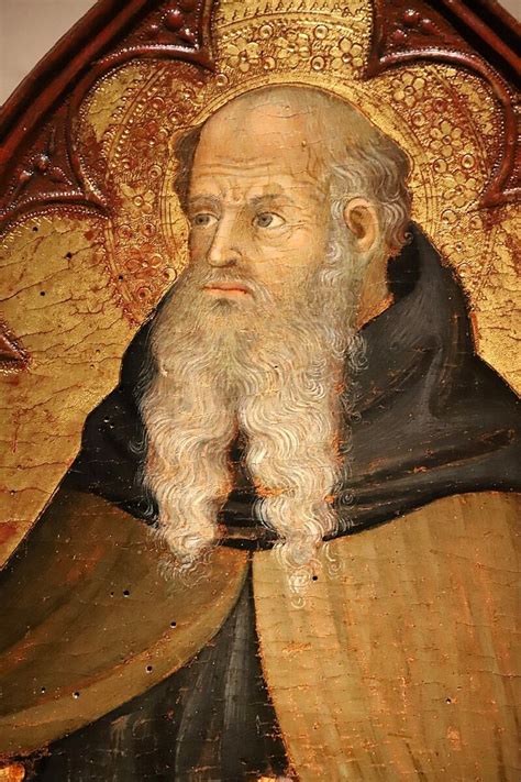 Canon Camera Models Mime Type Image Processing