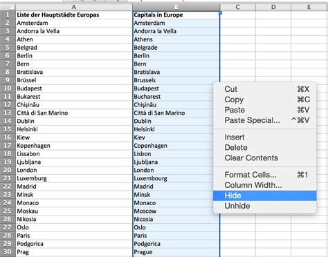 Translating Excel Files With Hidden Content Cafetran Help
