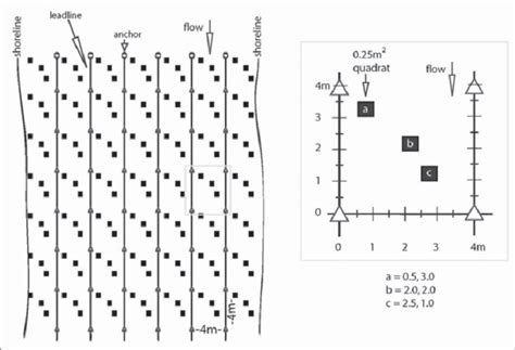 Systematic Sampling Design Illustration The Close Up On Right Depicts