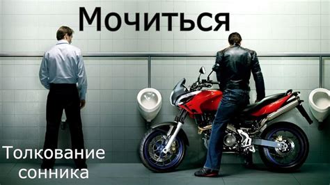 Мочиться толкование сонника Youtube