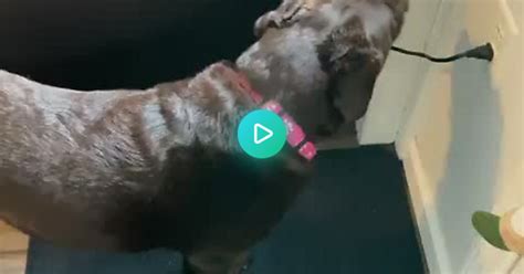New Hula Hoop Album On Imgur