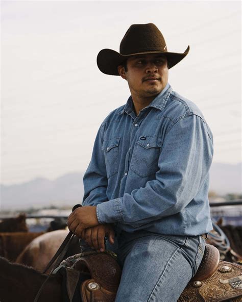 Download Cowbabe Pictures Wallpapers Com