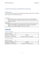 Microbiology Lab Techniques And Results Analysis Course Hero