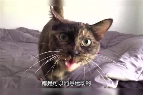 4个奇怪的人体冷知识为什么自己挠自己不痒趣味科普 趣味 科普 知识