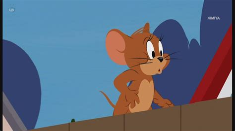 کارتون تام وجری فیلم و کارتون