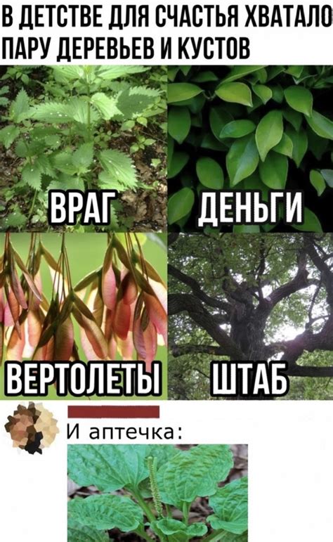 Детство | Пикабу