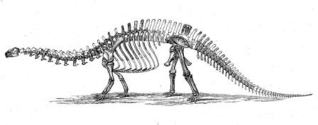 Savannasaurus Dinosaurs Facts Pictures Savannasaurus Habitat