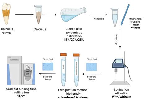 Protocol Schematic Overview Download Scientific Diagram