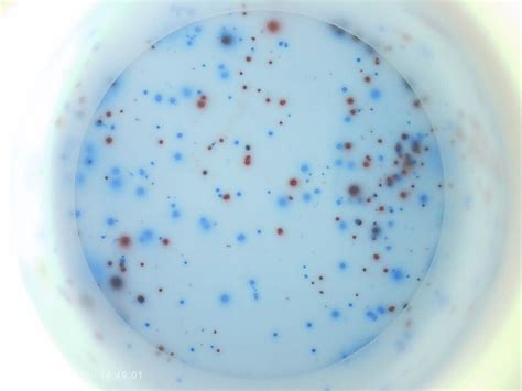 Namesandtypes X Java Heap Space Error On Data Save Usage And Issues Imagesc Forum