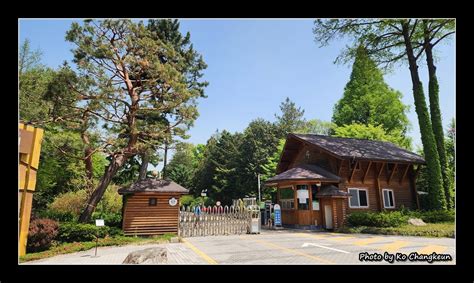 노원과 친구들 서울 동대문 홍릉숲 산책 Daum 카페