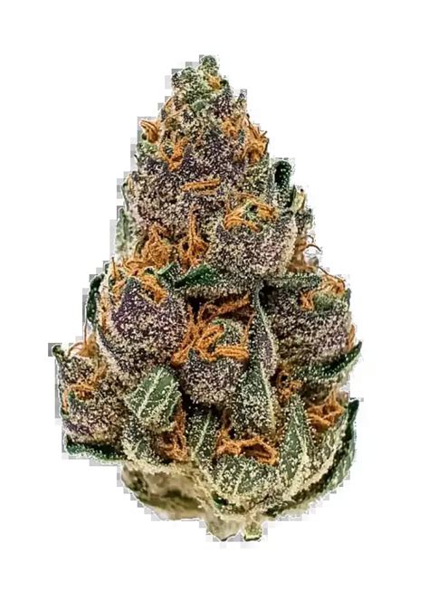 Kemo Cannabis Strain Information Growdiaries