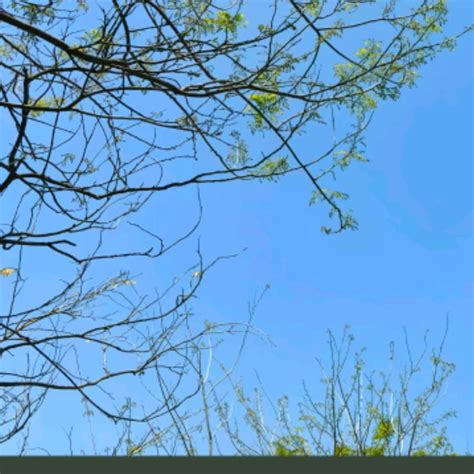 宁静安慰邵子恒：你跟一些老人出去没事，不至于对一个小孩发难姐姐旅行节目