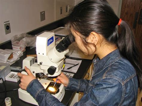 Microfossils Reveal Warm Oceans Had Less Oxygen Geology Page