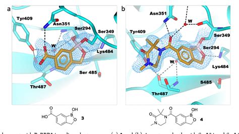 Figure 1 From High Throughput Crystallography Reveals Boron Containing
