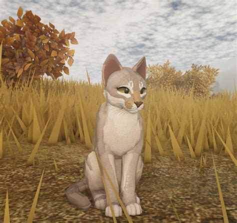 Simple Morph Idea Warrior Cats Fan Art Warrior Cat Drawings Warrior Cats