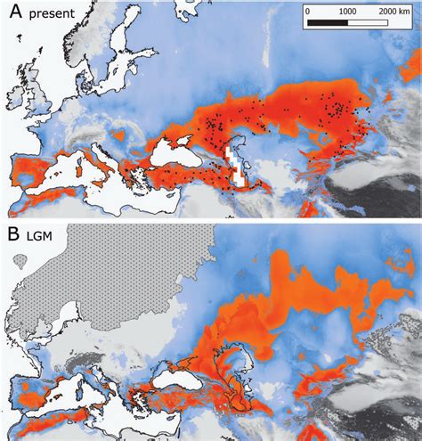 Species Distribution Models Showing The Climatically Suitable Areas For