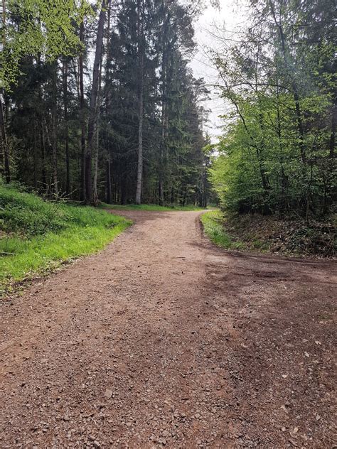 Nature Path Free Photo On Pixabay Pixabay