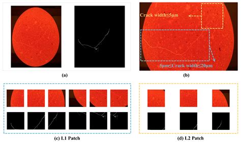 Real Time Convnext Based U Net With Feature Infusion For Egg Microcrack Detection