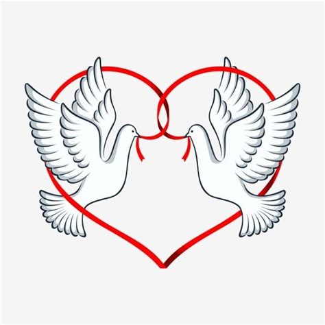 Pomba No Amor PNG Casal Pombo Pomba Imagem PNG E Vetor Para