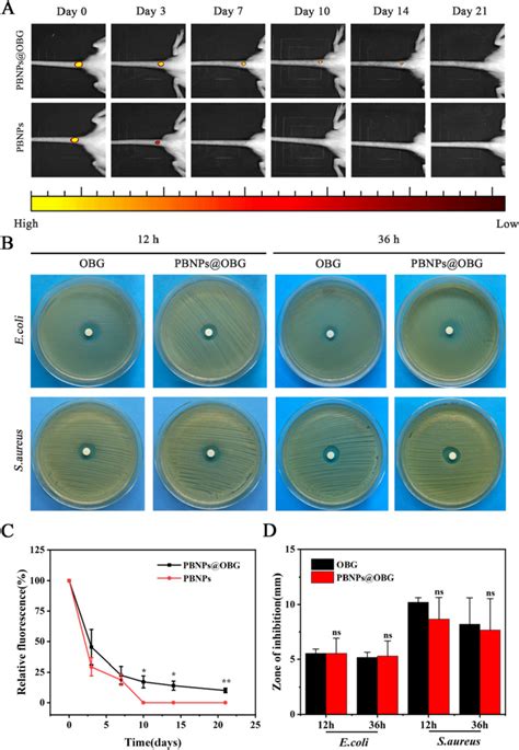 Dual Dynamic Bond Cross Linked Injectable Hydrogel Of Multifunction For Intervertebral Disc