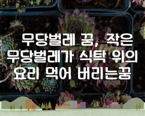 무당벌레 꿈 작은 무당벌레가 식탁 위의 요리 먹어 버리는꿈