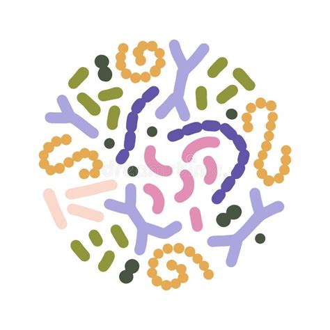 Mocrobione In Round Shape Concept Bifidobacterium Lactobacillus