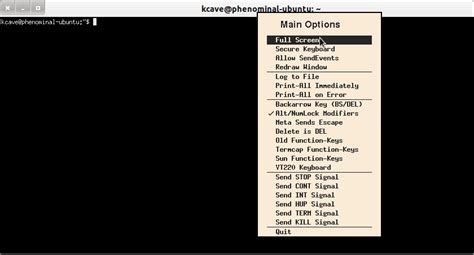Customize Xterm The Original And Best Terminal Scarygliders