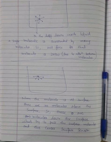 Explain The Cohesion Tension Theory