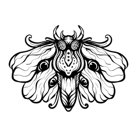 Premium Vector Butterfly Black And White Line Art