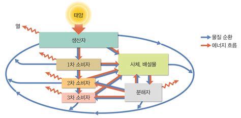 미래엔 엠티처