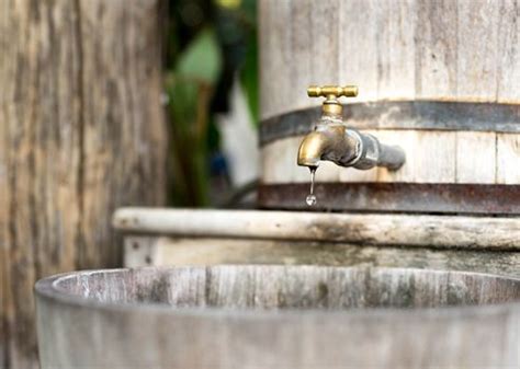 What Is Scuttlebutt Publication Coach What Is Scuttlebutt Publication Coach