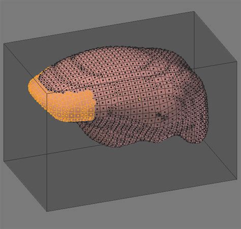 Two Vertex Groups Get Combined To Obtain An Adequate Transformation Of