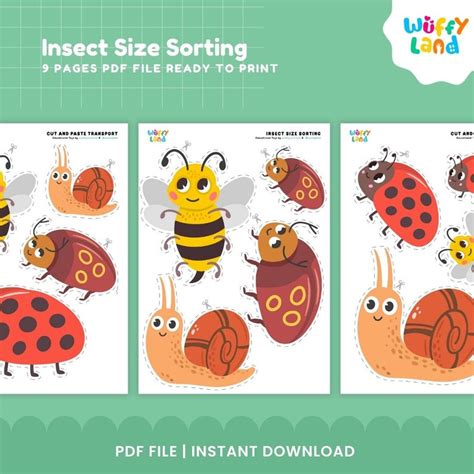 insect size sorting game sort by size worksheet size sorting game