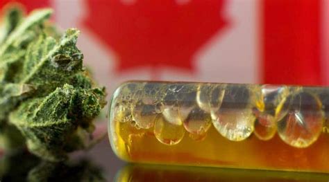 Different Types Of CBD Just Cannabis