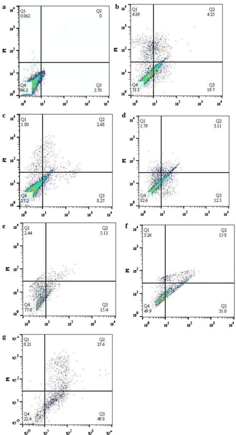 Apoptosis Assay Using Flow Cytometry Following Staining With Annexin Apoptosis Measurements