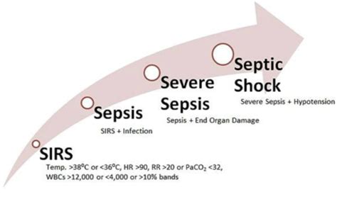 Introduction To Sepsis Flashcards Quizlet