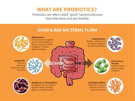 Cni Probiotics Complex Powder