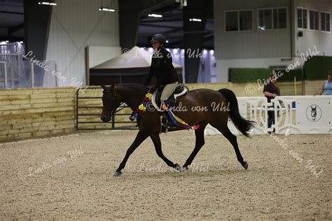 945 R13 Arabian Shus Show Hack Open Lvonuhlpics