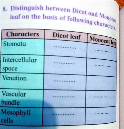 Anatomical Differences Between Dicot And Monocot Leaves Infoupdate Org