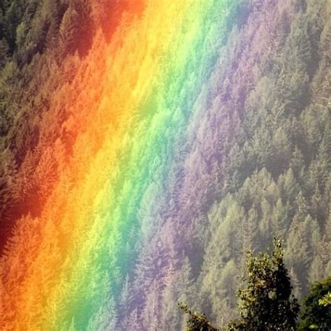Arcoiris