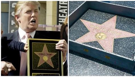 Donald Trump Construyen Un Muro Alrededor De Su Estrella En
