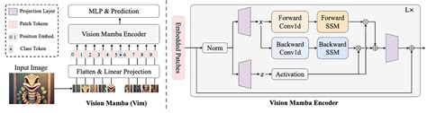 Mamba Vision Efficient Visual Representation With Bidirectional State