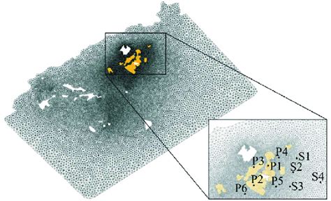 Computational Mesh Field Gauges And Marine Aquaculture Domain In Download Scientific Diagram